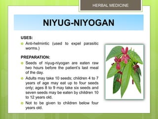 Herbal Medicines_Legor R. Martinez.pptx