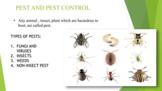 PEST AND PEST CONTROL | PPTX