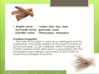 Herbal plant presentation | PPTX