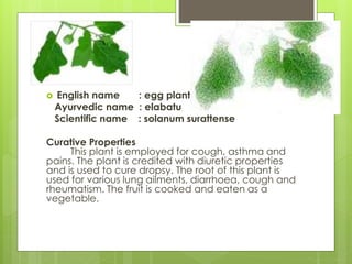 Herbal plant presentation | PPTX | Herbs and Supplements | Alternative ...