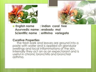 Herbal plant presentation | PPTX | Herbs and Supplements | Alternative ...