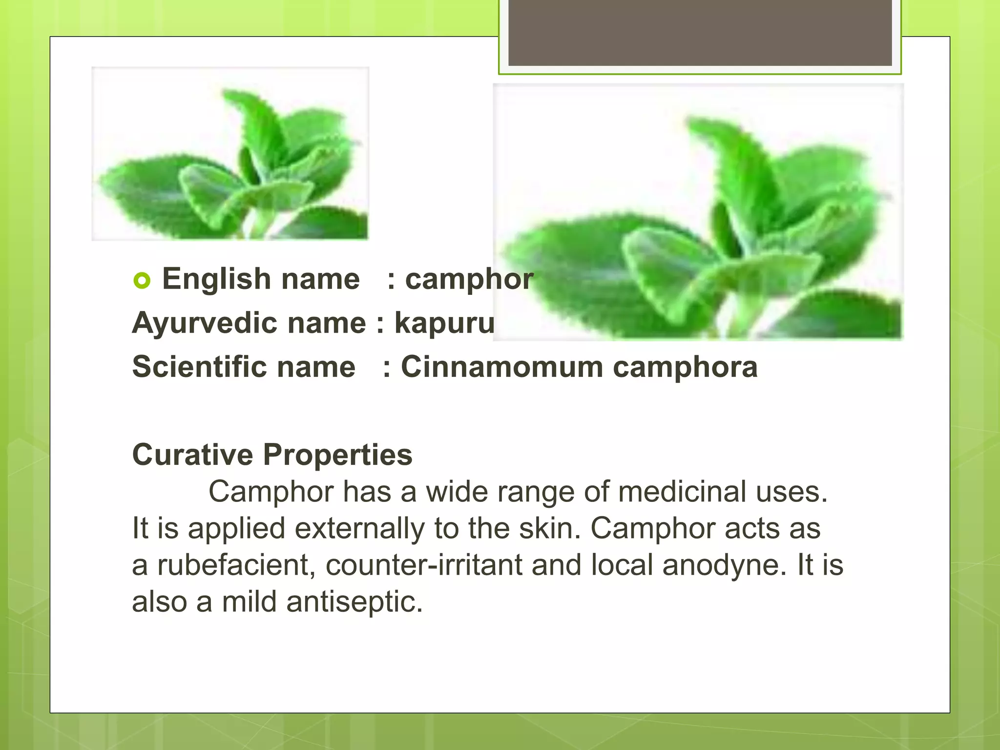 Herbalplantpresentation | PPTX