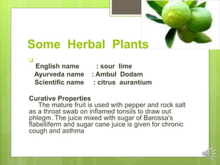 Herbalplantpresentation | PPTX | Herbs and Supplements | Alternative ...