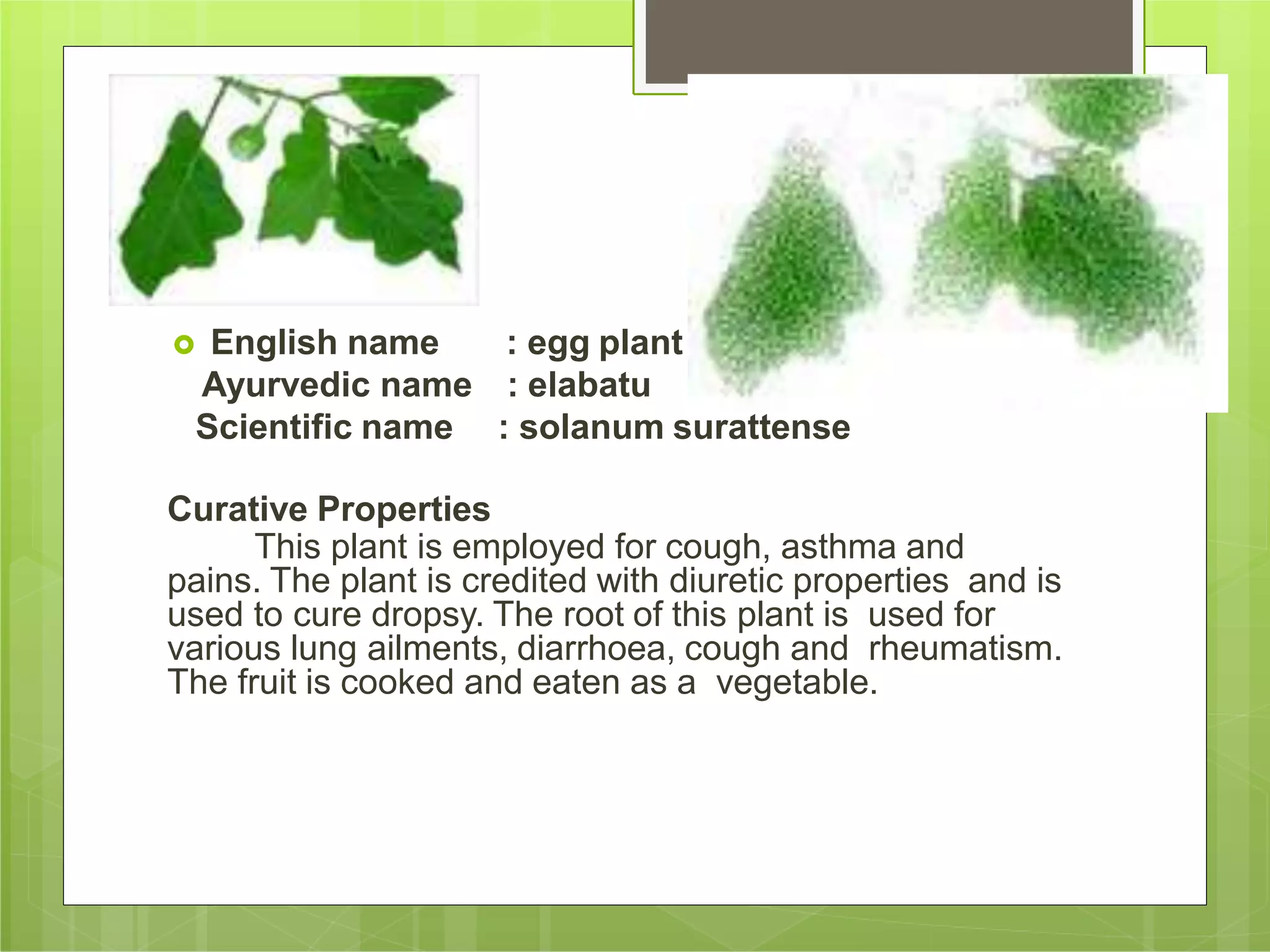 Herbal plant presentation | PPTX