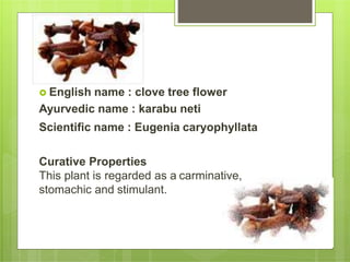 Herbal plant presentation | PPTX