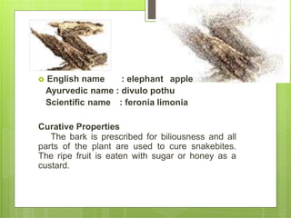 Herbal plant presentation | PPT | Free Download