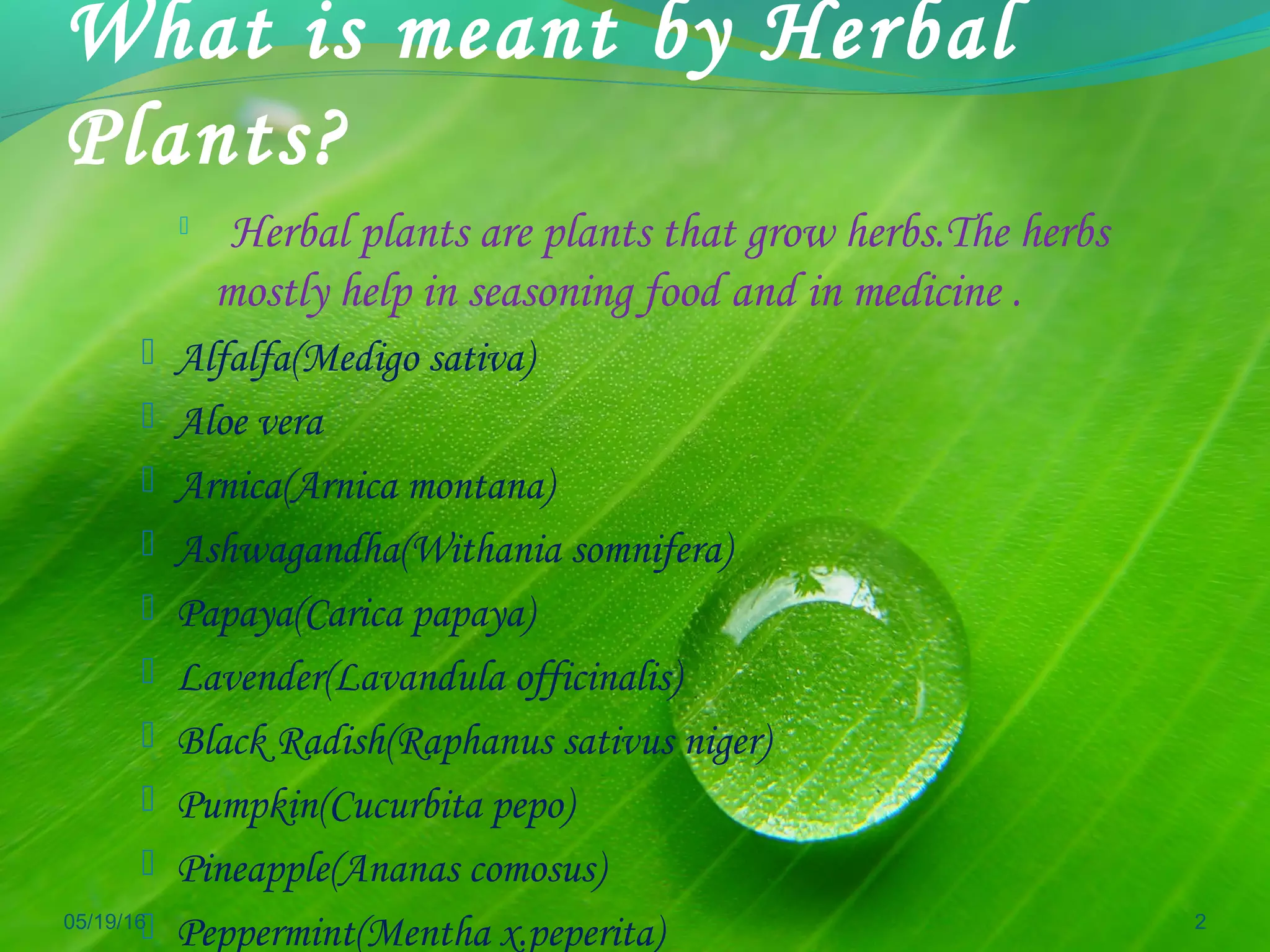 Herbal plants ppt | PPT