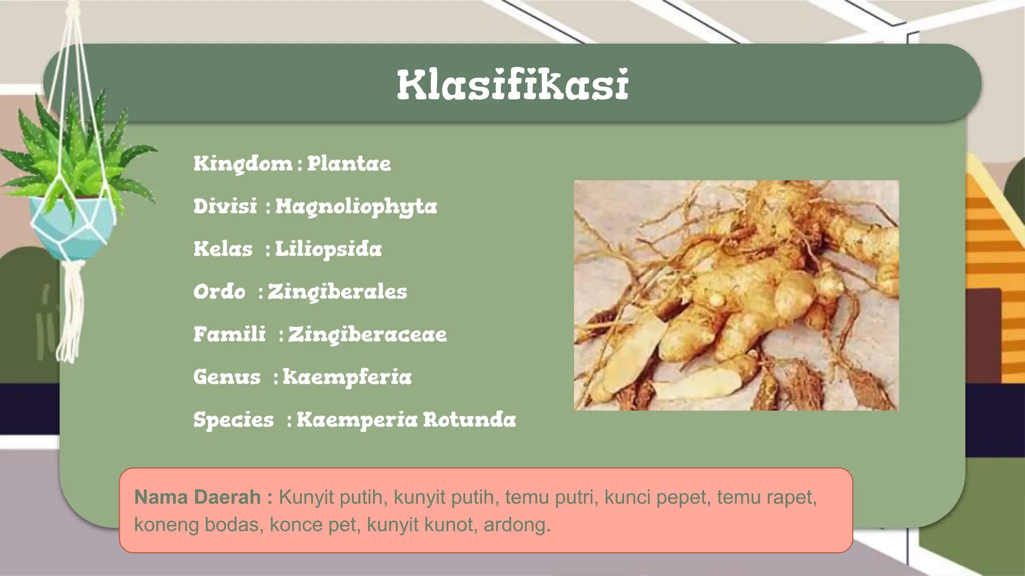 Herbal TerapanPenyakit KronisKanker.pptx