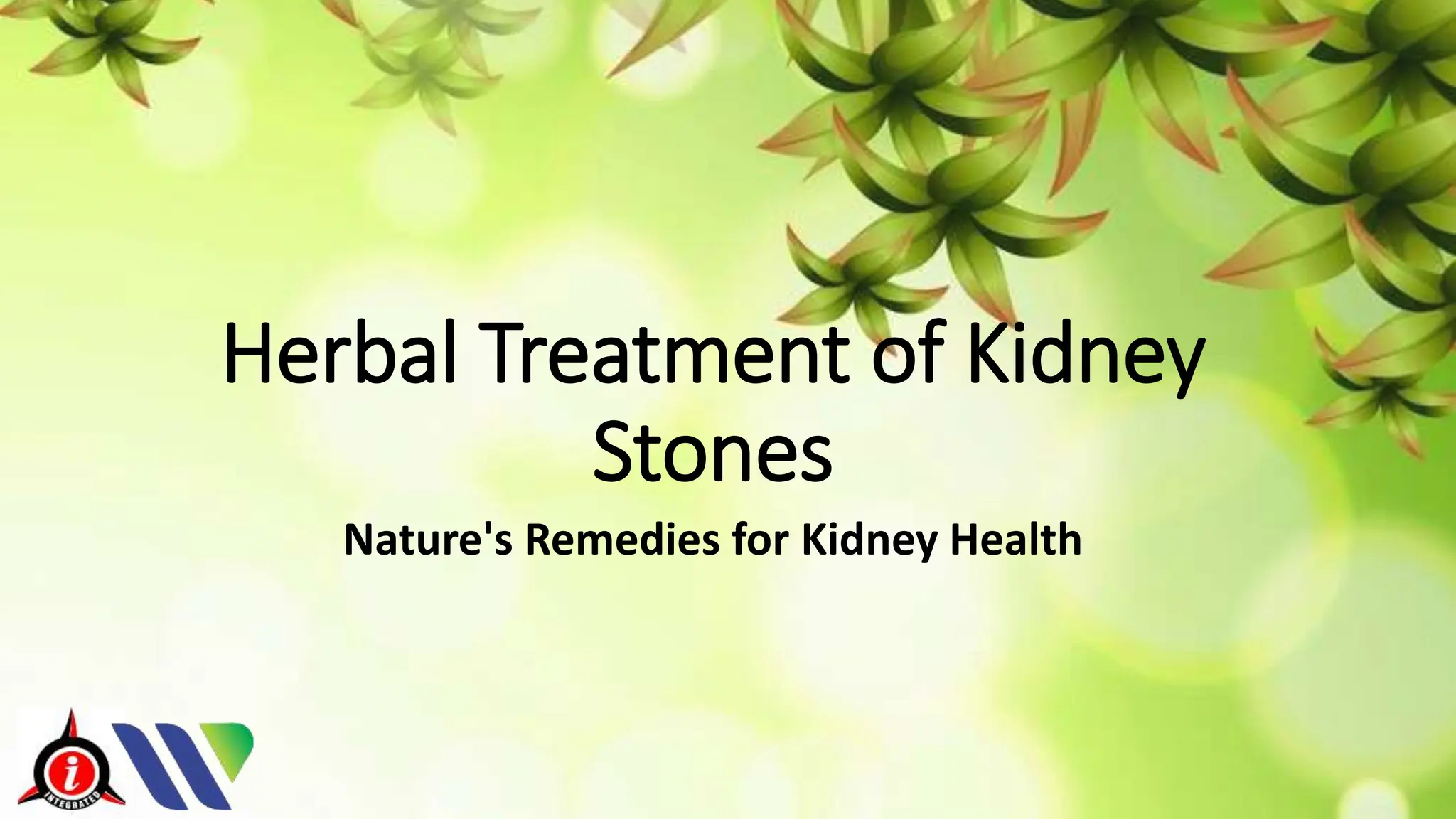 Herbal treatement of kidney stone and feel the magic of herbs. | PPTX