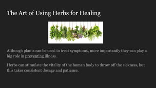Herbal wellness | PPTX