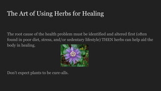 Herbal wellness | PPTX