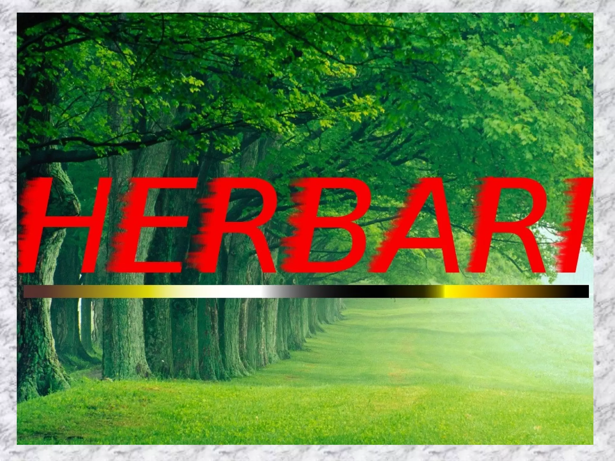 Herbari naturals | PDF