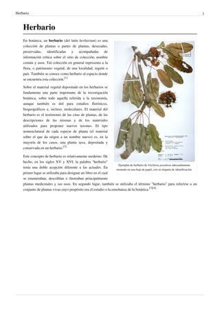 Herbario (38 fotos): qué es? Cómo hacer un bonito herbario de flores y hojas en un álbum o en ...