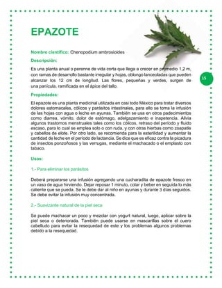 Herbario plantas | PDF