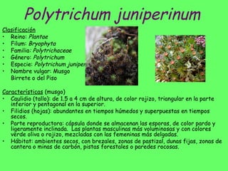 Herbario digital | PPT