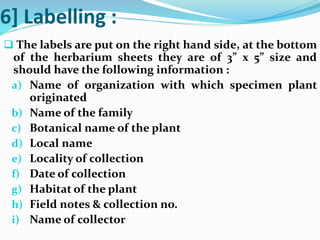 Herbarium | PPTX