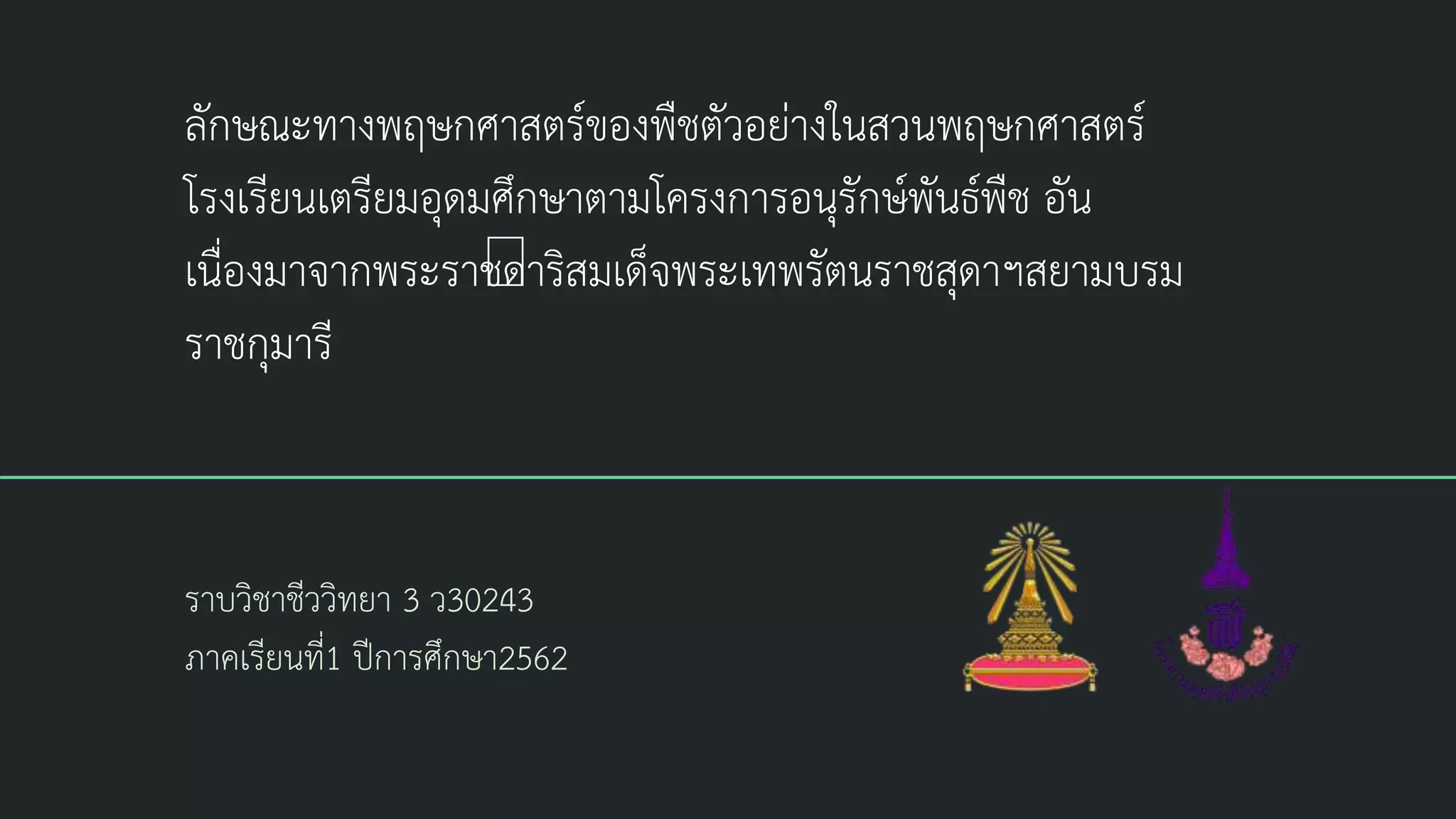 Herbarium 343 group 9 | PPT