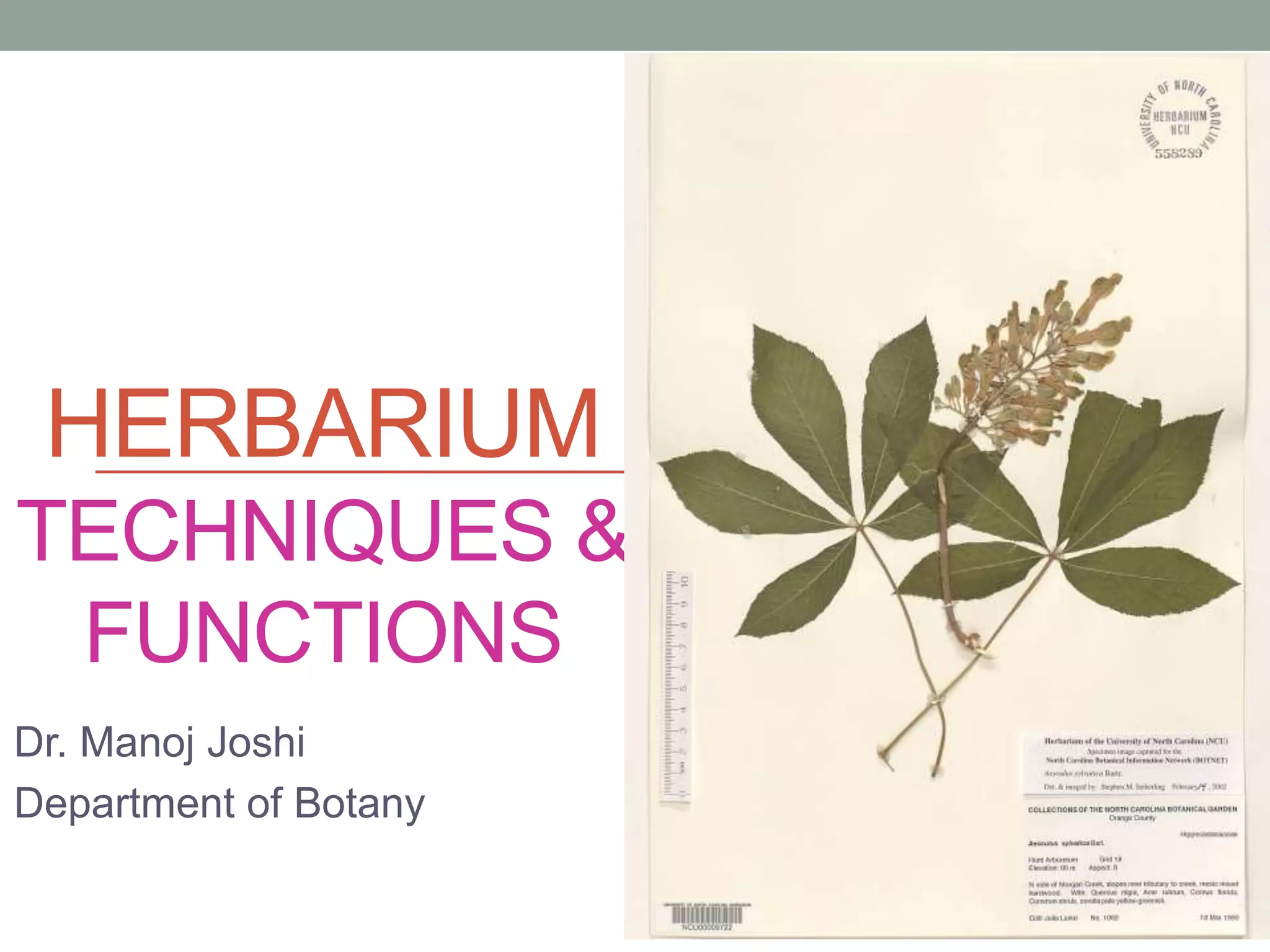 Herbarium | PPTX