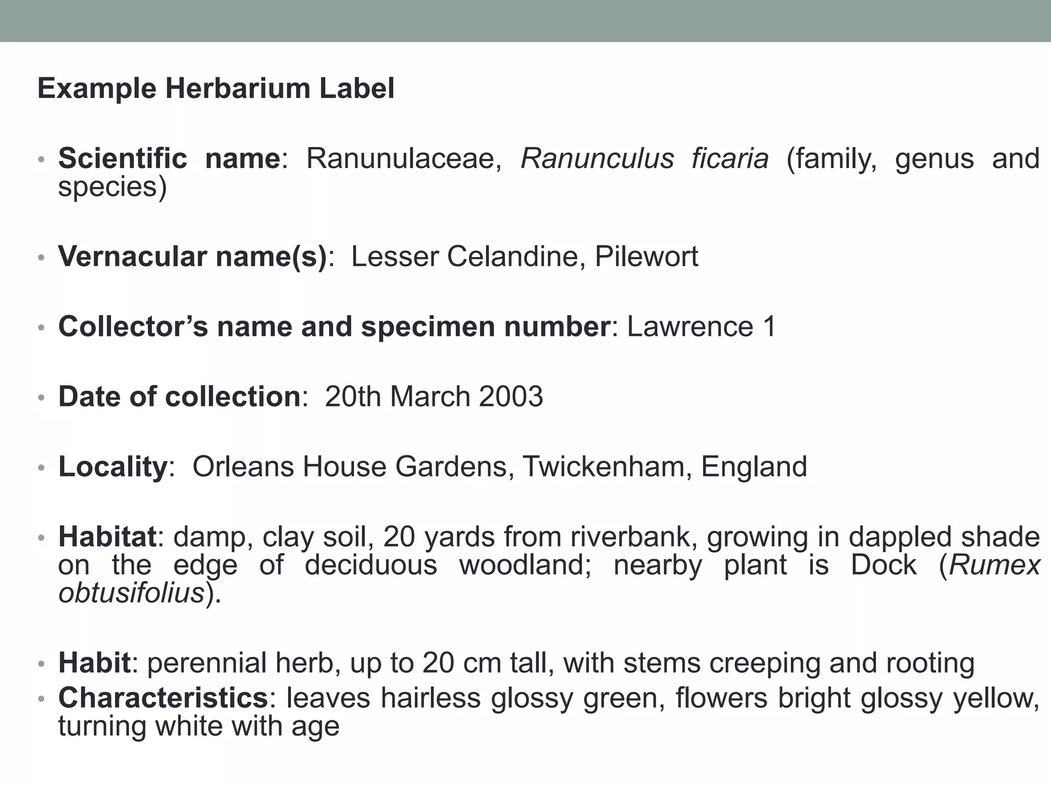 Herbarium | PPTX