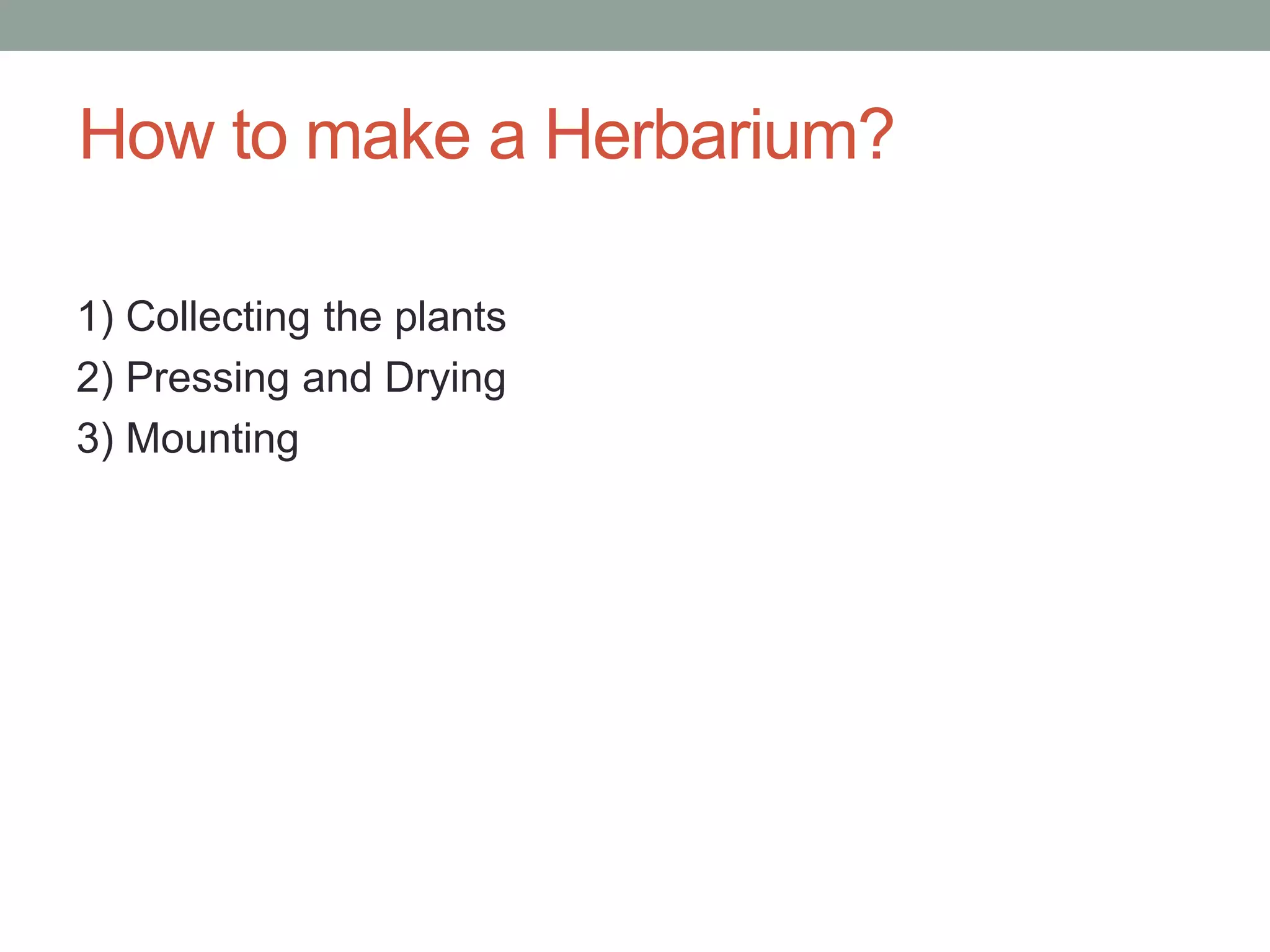 Herbarium | PPTX