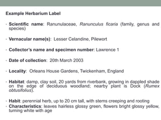 Herbarium | PPTX