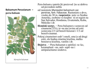 Herbarium | PPTX