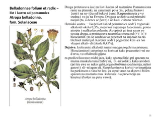 Herbarium | PPTX