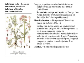 Herbarium | PPTX