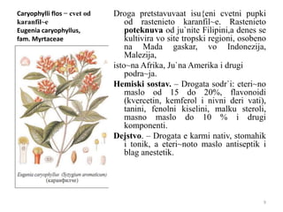Herbarium | PPTX