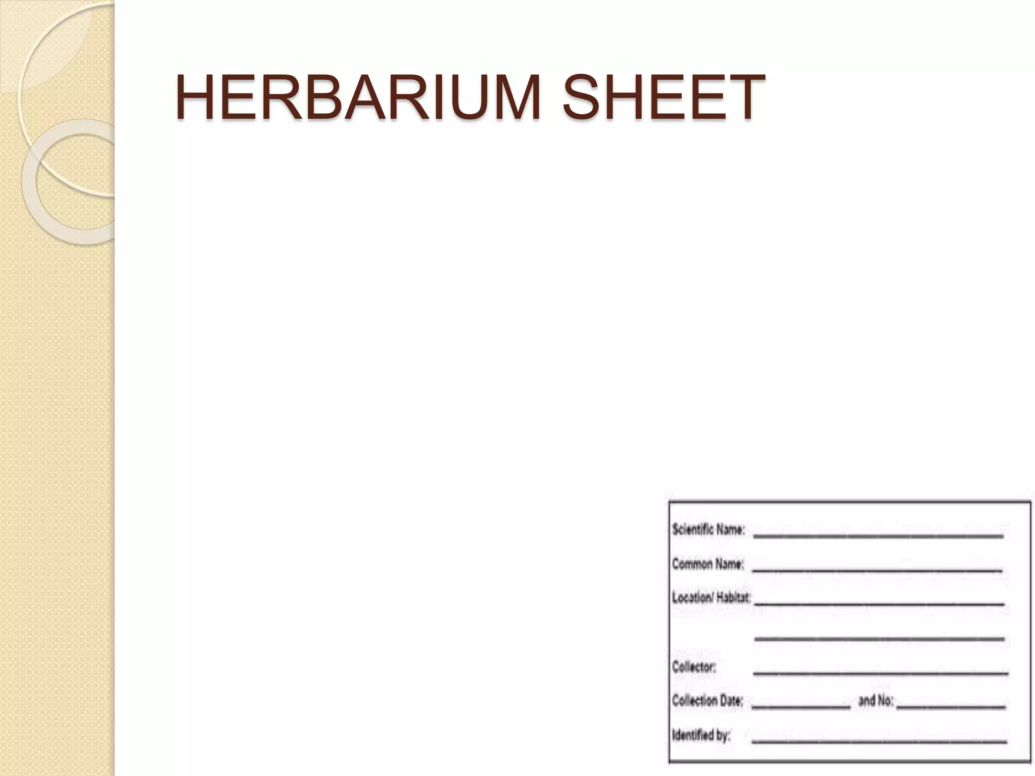 Herbarium | PPTX