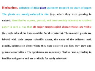 Herbarium(collection of dried plant specimens).pptx