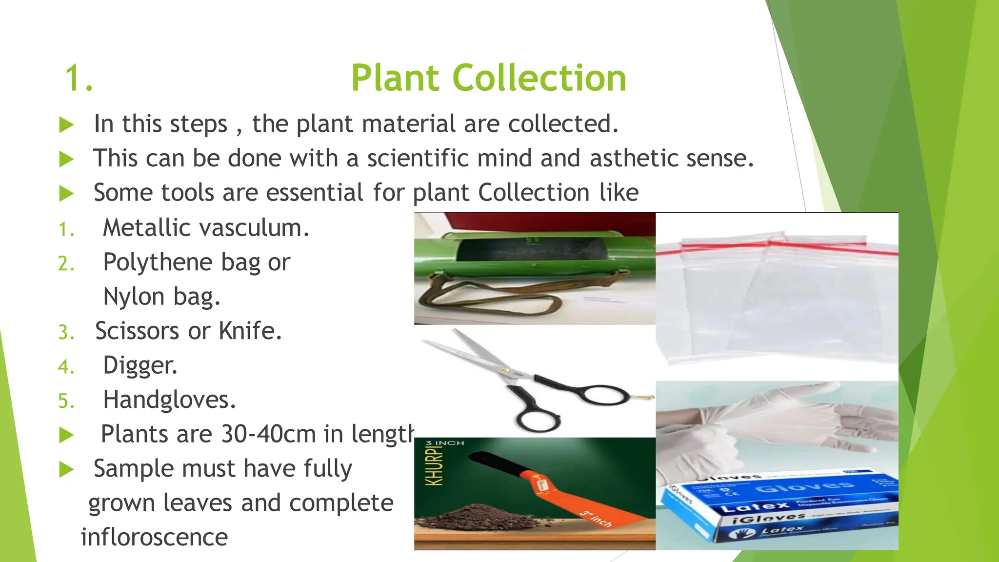 Plant Taxonomy, Herbarium tools and techaniques | PDF