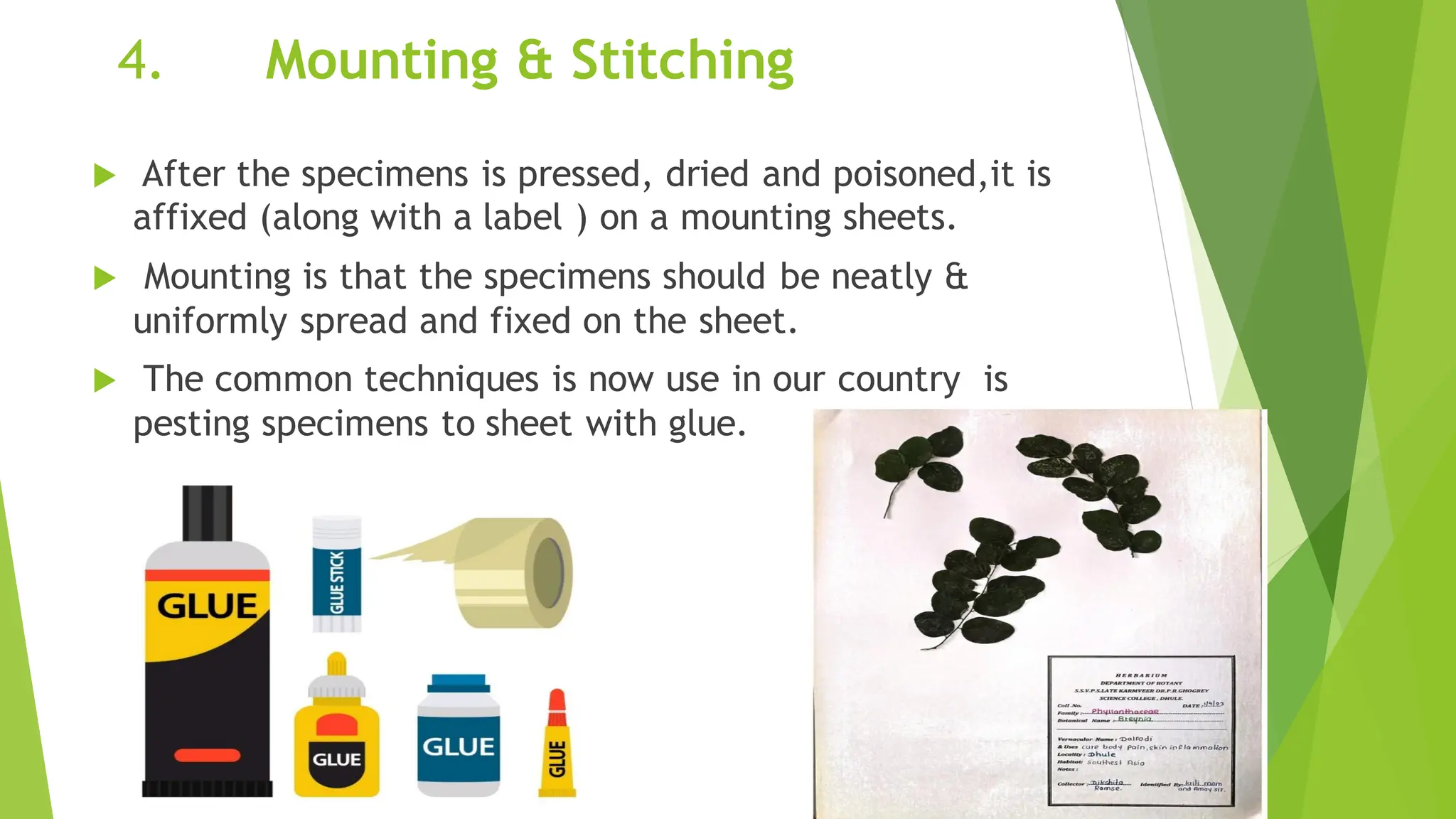 Plant Taxonomy, Herbarium tools and techaniques | PDF