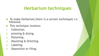 Plant Taxonomy, Herbarium tools and techaniques | PPT