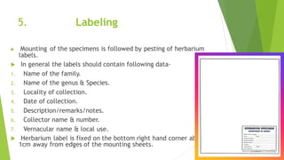 Plant Taxonomy, Herbarium tools and techaniques | PDF