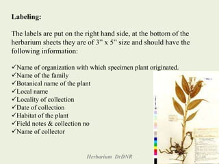 Herbarium DrDNR | PPT