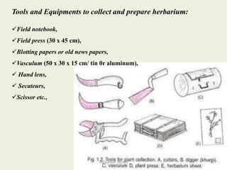 Herbarium DrDNR | PPT