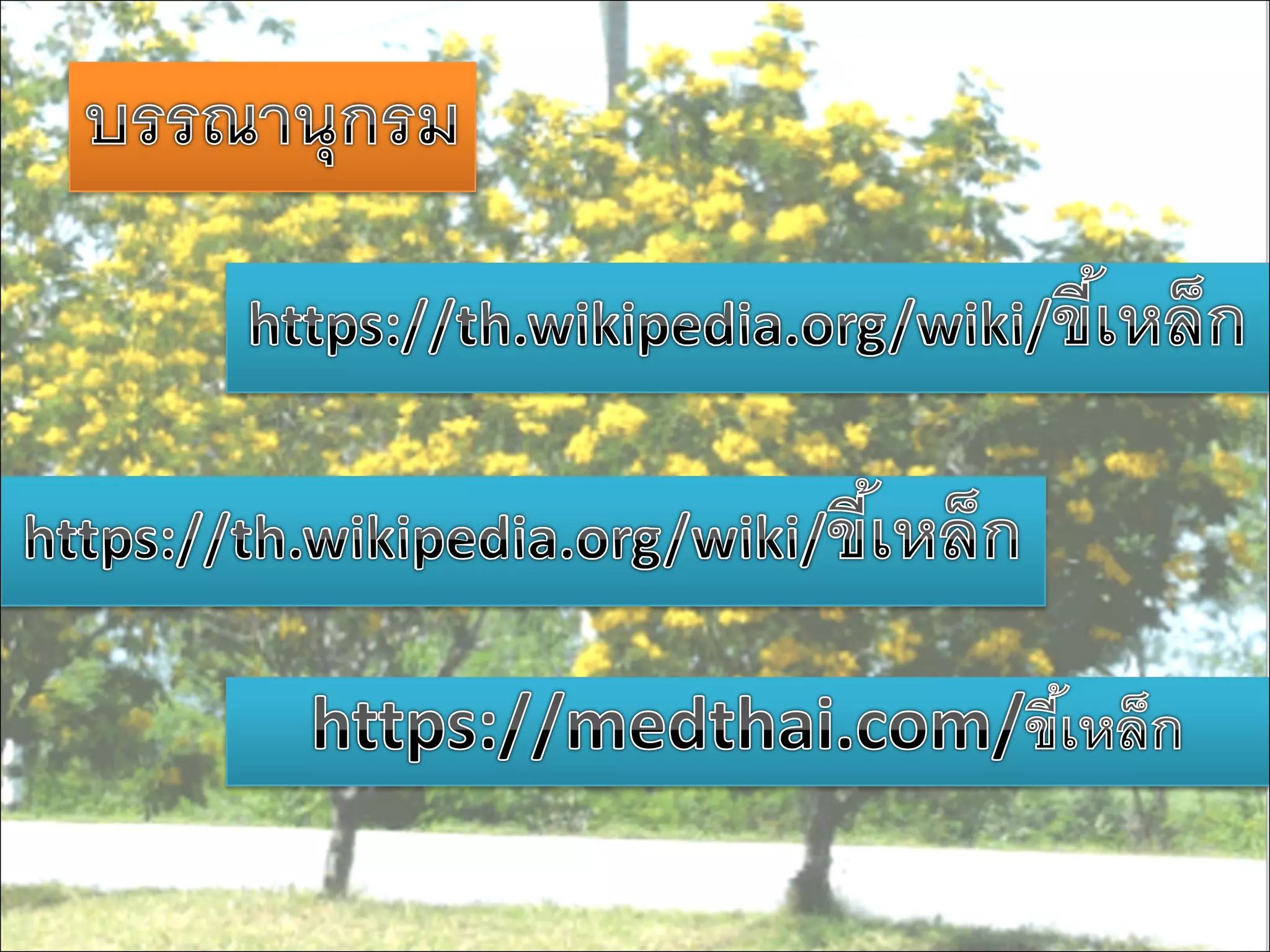 Herbarium กลุ่ม6 825 | PDF