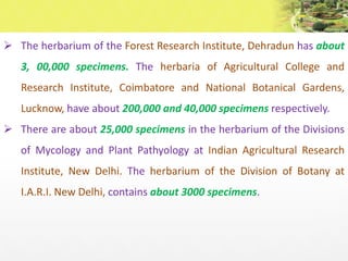 Herbarium and Botanical gardens by Dr. Priya Trivedi converted | PPT