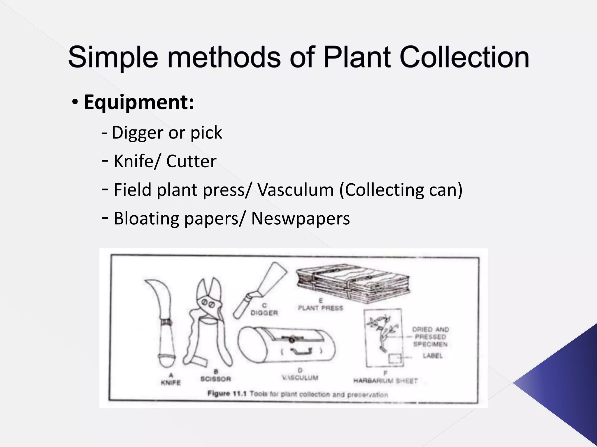 Herbarium and plant collection | PPTX