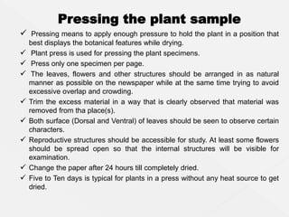 Herbarium and plant collection | PPTX