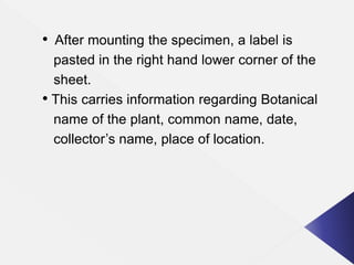 Herbarium and plant collection | PPTX