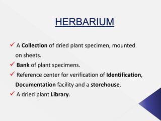 Herbarium and plant collection | PPTX