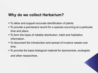 Herbarium and plant collection | PPTX