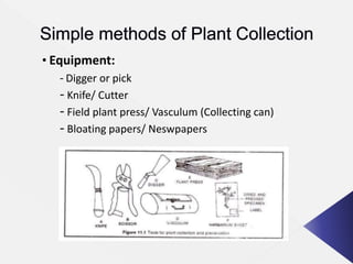 Herbarium and plant collection | PPTX