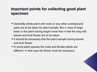 Herbarium and plant collection | PPTX
