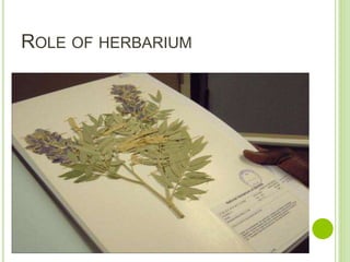 Herbarium & Botanical garden | PPT