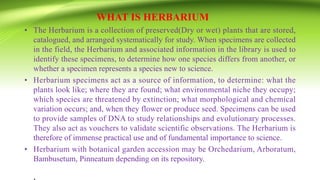 Herbarium & botanical garden | PPT