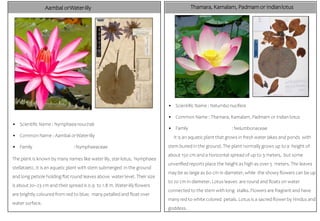 Herbarium final pdf | PPT