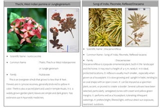 Herbarium final pdf | PPT